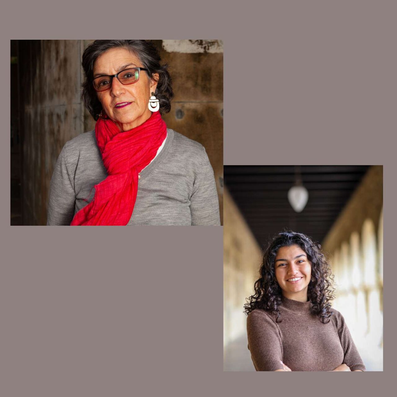 Shaping Iranian Diasporic Identities in Times of Crisis and Change: A ...